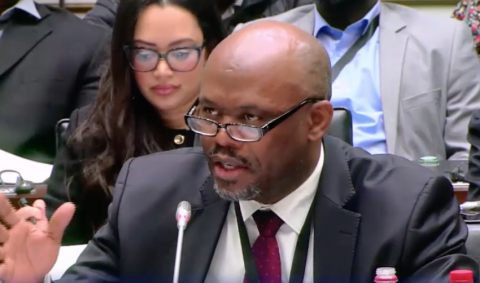 SAPS Ad Hoc Committee | Sibiya: We are creating a monster - eNCA